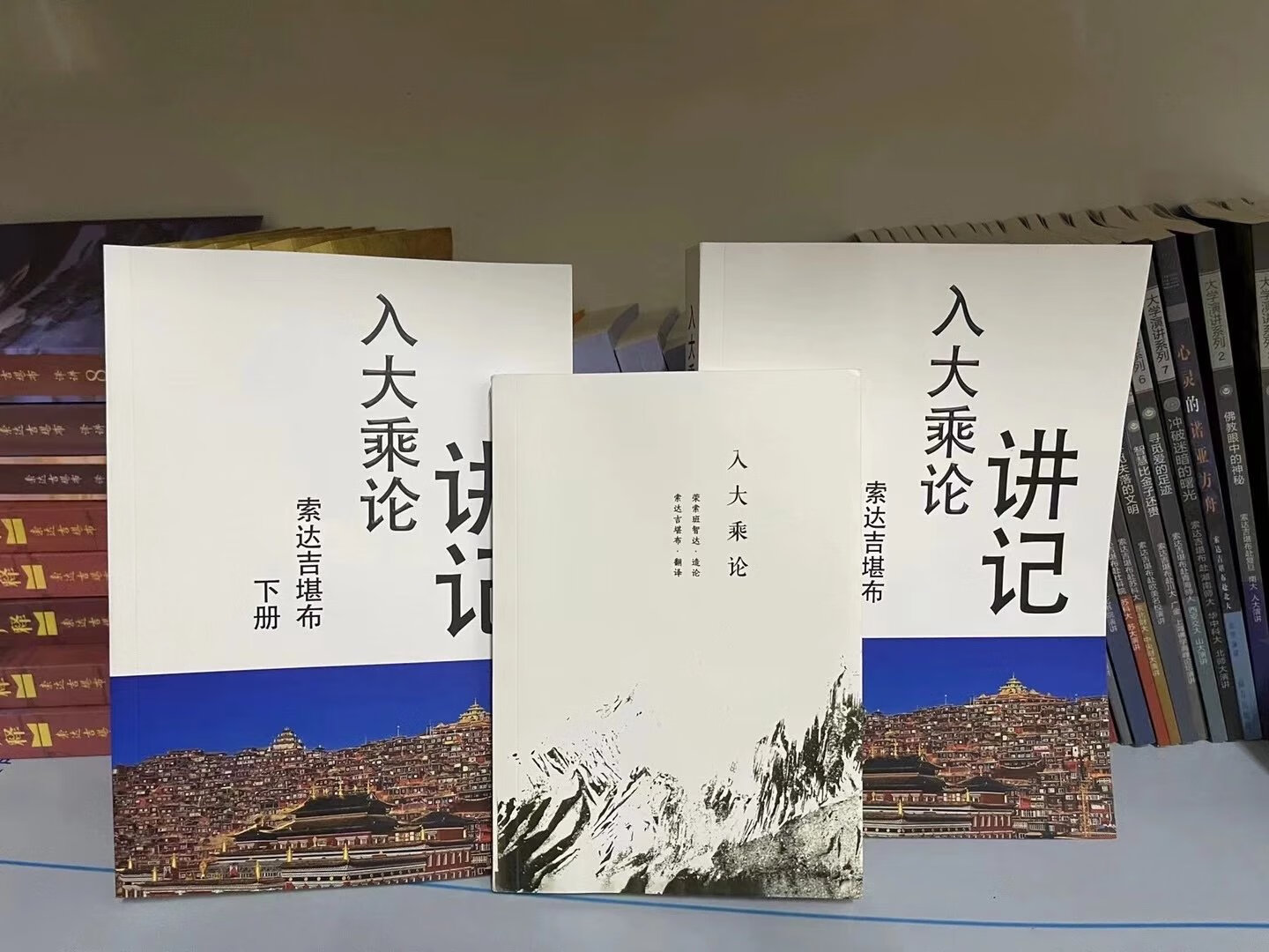 入大乘论原文入大乘论讲记上下册
