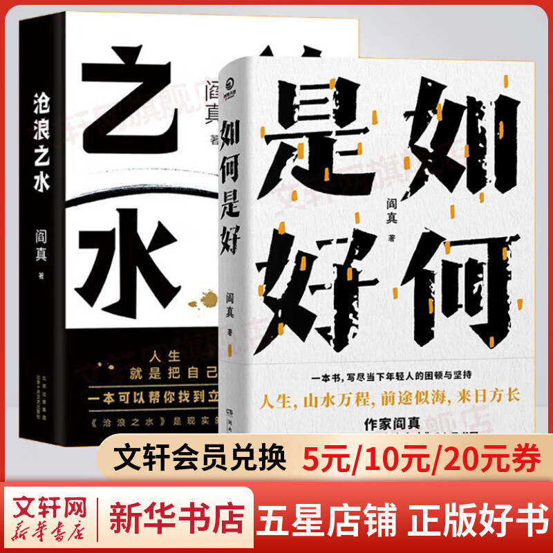 【包邮】沧浪之水+如何是好 阎真作品集 原著未删减 胡军、于和伟主演高分电视剧岁月原著小说 当代年轻人的人生之书