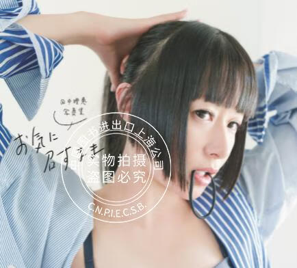 现货 进口日文 田中理恵写真集 お気に召すまま