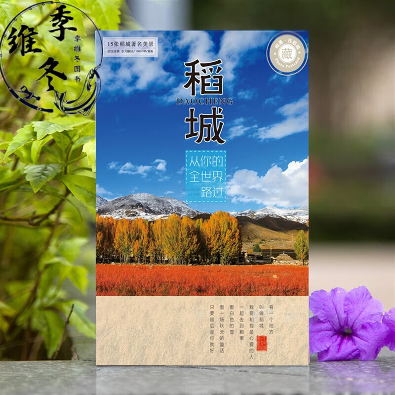 中国城市明信片风景创意文艺旅游纪念礼物大理杭苏州贵州 稻城