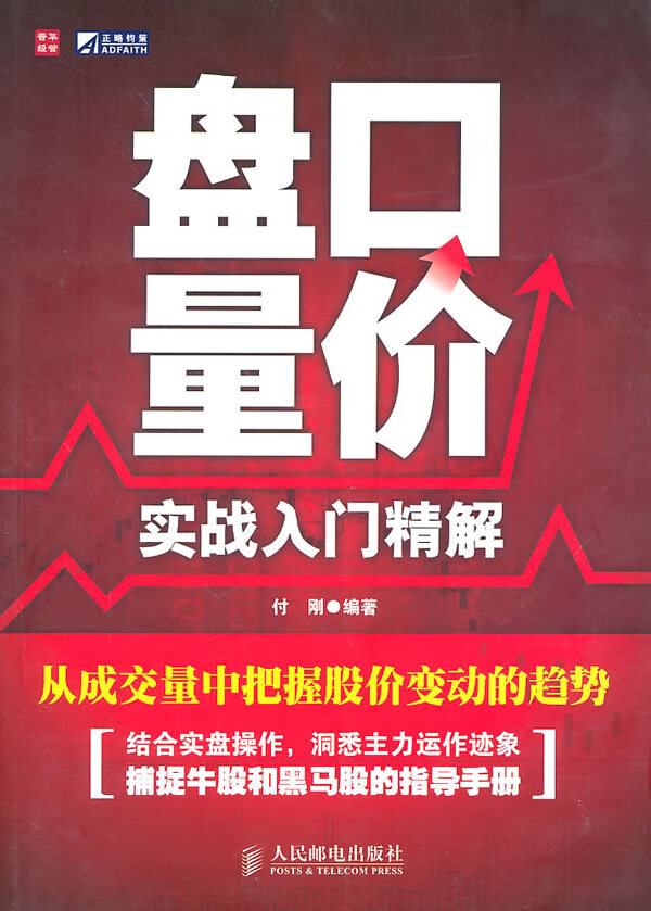 盘口量价实战入门精解