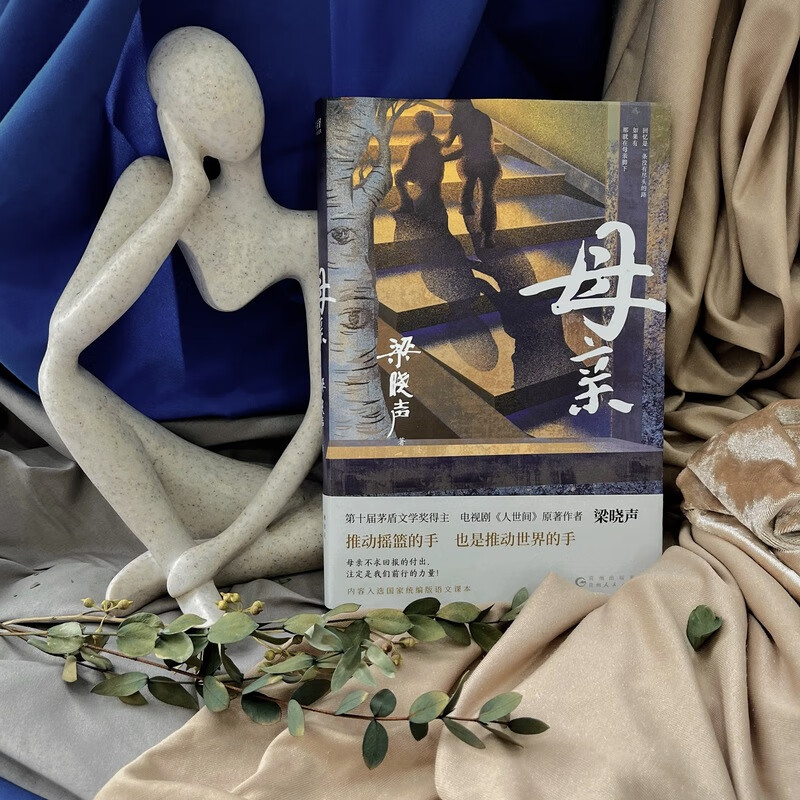 母梁晓声 茅盾文学奖得主 电视剧《人世间》原著作者梁晓声 中国式母的平凡与伟大 逆境中的乐观坚强 梁晓声