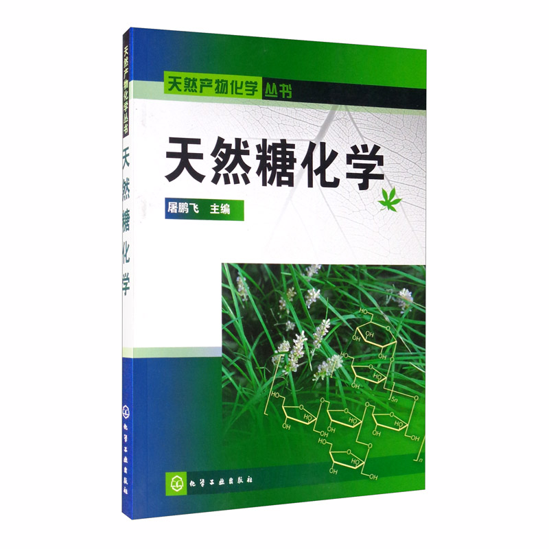 天然糖化学/天然产物化学丛书