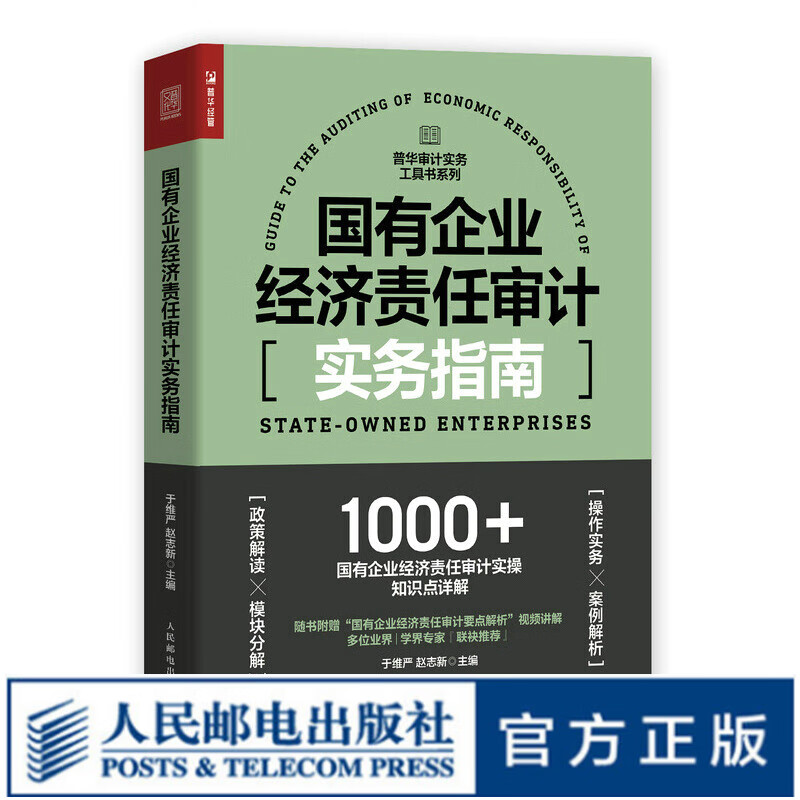 国有企业经济责任审计实务指南