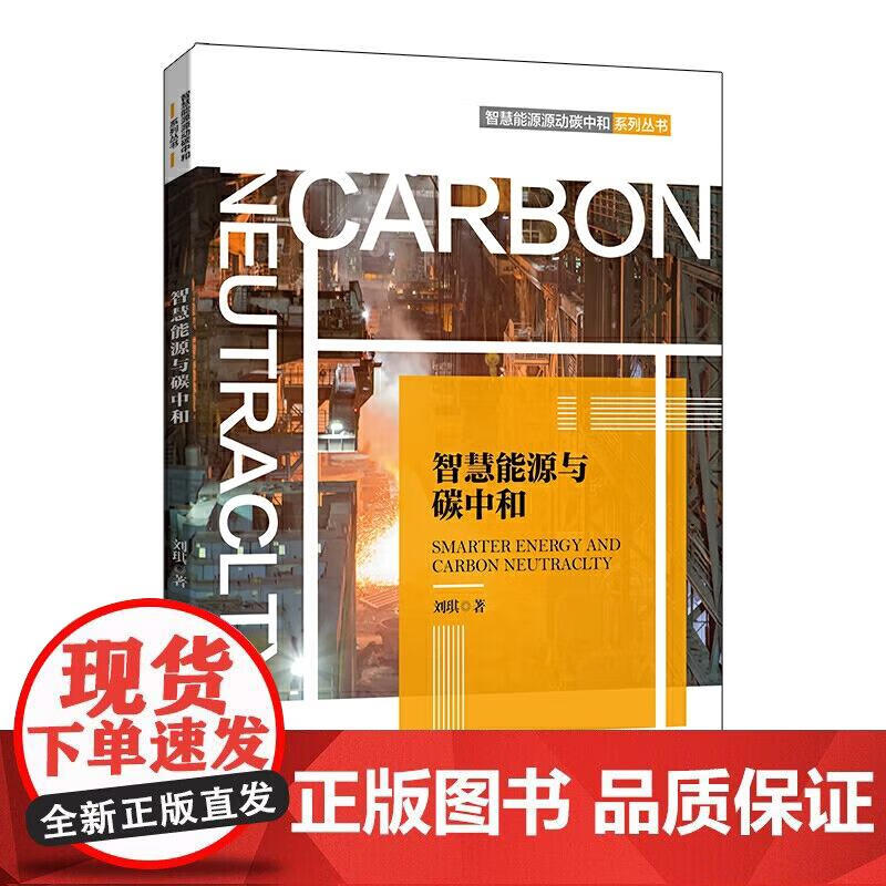 智慧能源与碳中和