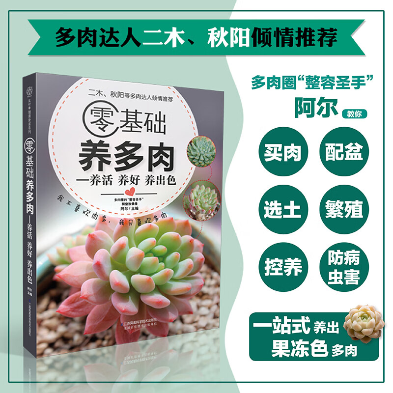 多肉书籍大全 零基础养多肉:养活养好养出色 二木 多肉书多肉种植多肉养殖书籍 养护多肉 养护多肉