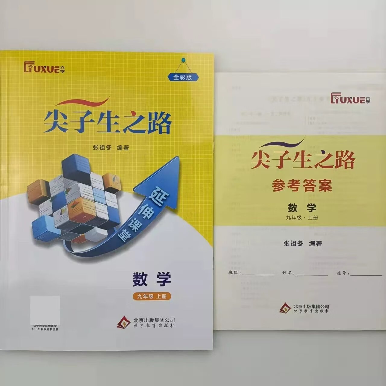 2022秋 尖子生之路数学延伸课堂练习册 七年级上册 全彩版 九年级数学上册