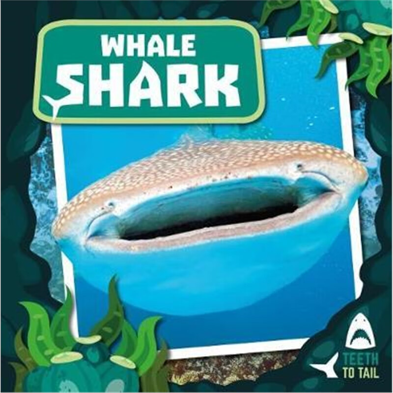 Whale Shark:Teeth to Tail