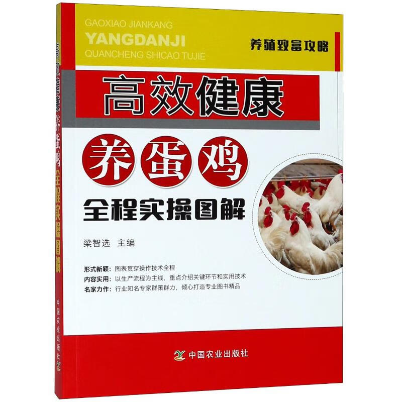 高效健康养蛋鸡全程实操图解 梁智选 书籍