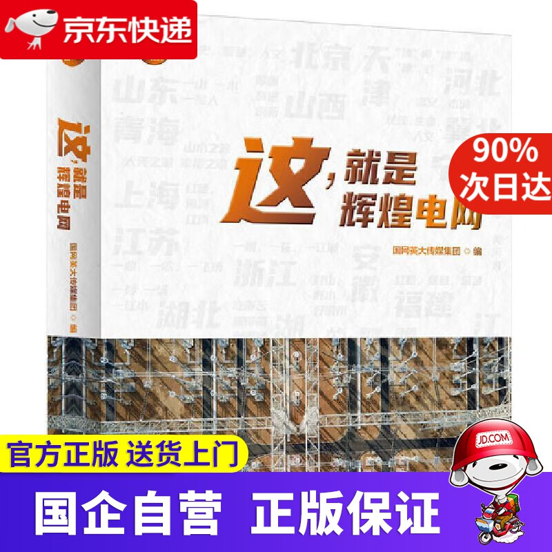 这，就是辉煌电网 国网英大传媒集团 中国电力出版社 9787519858247