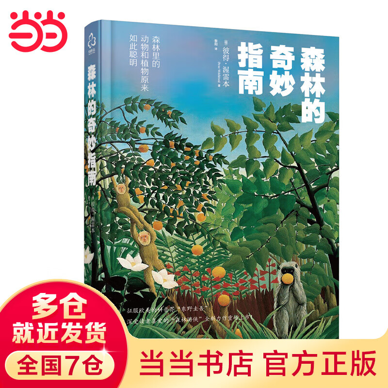 森林的奇妙指南