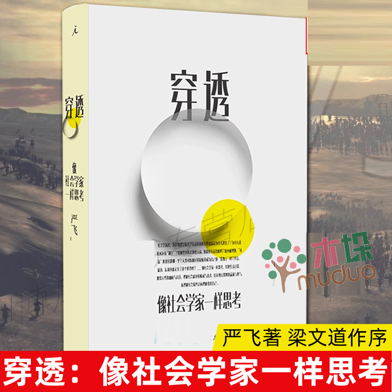 穿透：像社会学家一样思考 清华大学社会学家严飞著 理想国