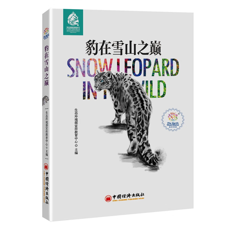 豹在雪山之巅