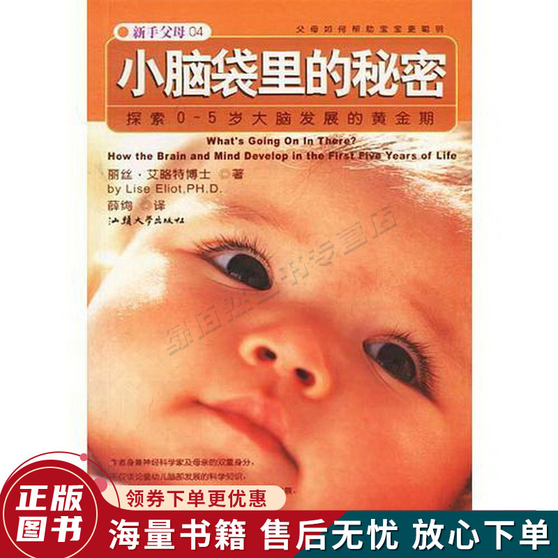 小脑袋里的秘密