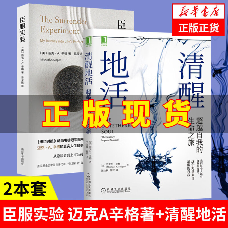 【套装2册】臣服实验迈克A辛格著+清醒地活自我实现励志从隐居者到上市公司自我的生命之旅书籍【书店