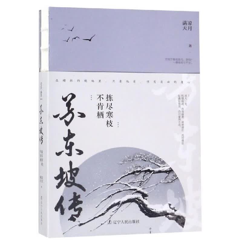 拣尽寒枝不肯栖:苏东坡传 凉月满天 书籍