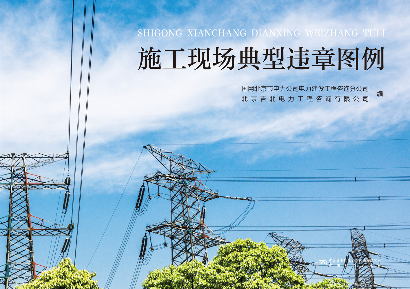 施工现场典型违章图例