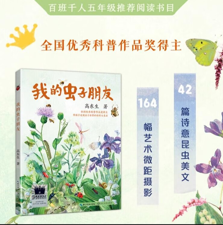 《夜光兔男孩》《我的虫子朋友》百班千人51期五六年级共读套装56年级单本可选 我的虫子朋友