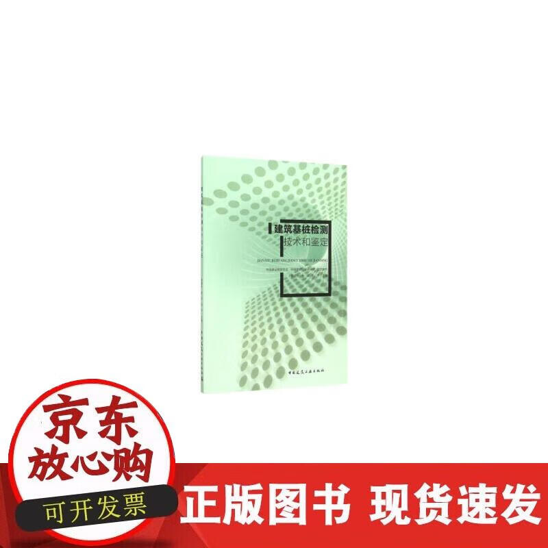 【现货】建筑基桩检测技术和鉴定