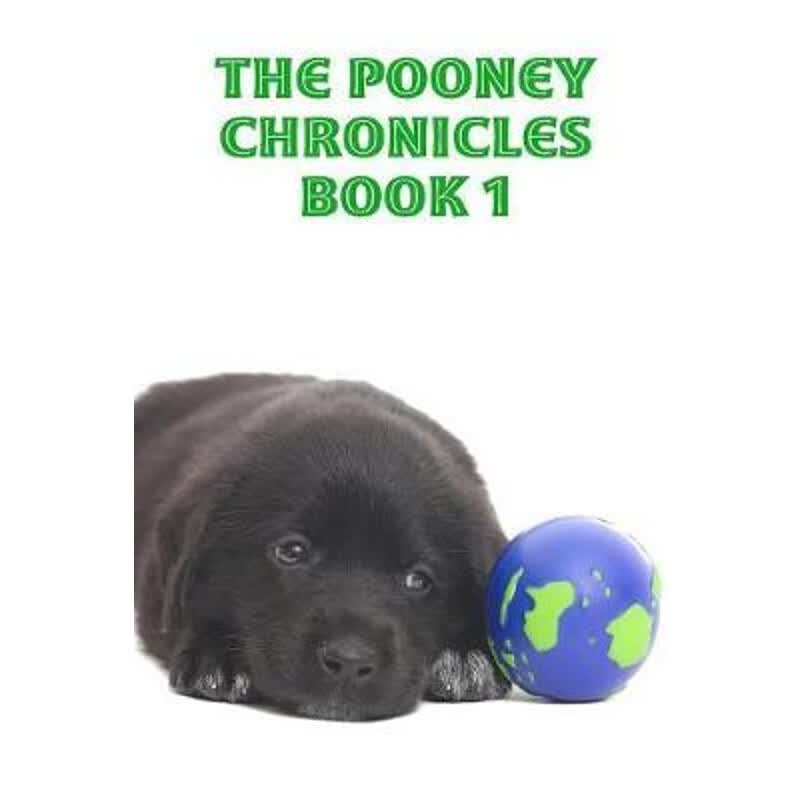 The Pooney Chronicles Book 1