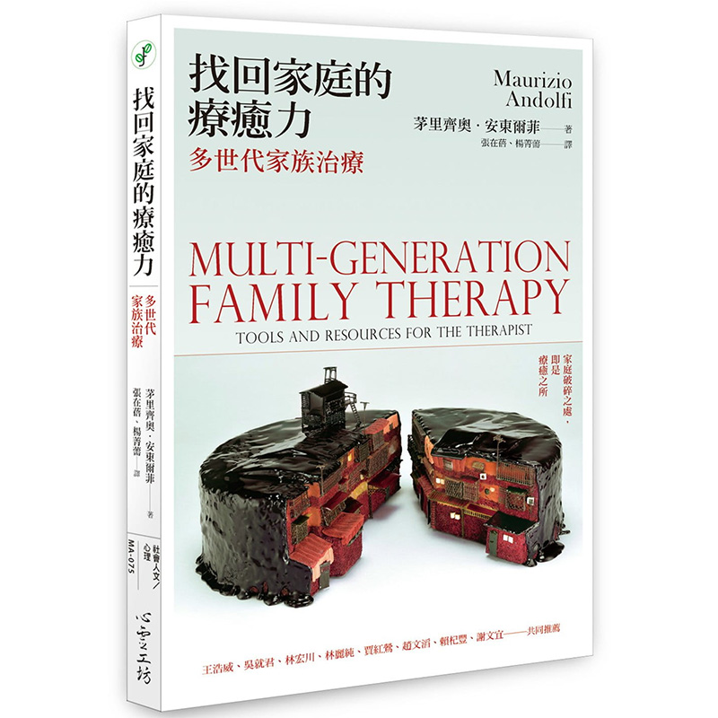 台版 找回家庭的疗愈力打开专业者视野重新定义家族治疗的书心理励志