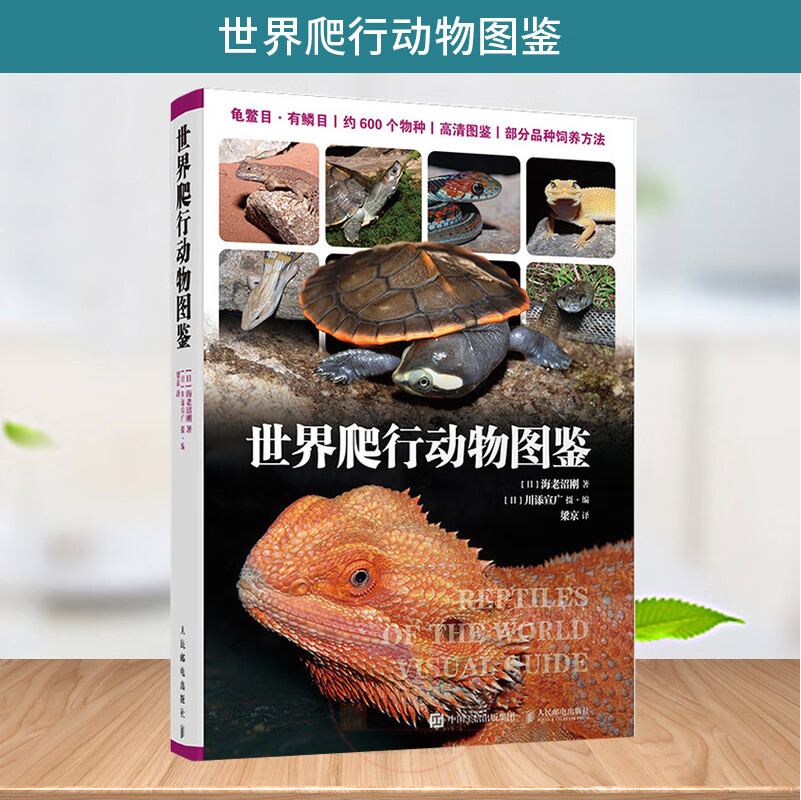 世界爬行动物图鉴 动物世界爬行动物大百科全书 各物种分布地常见体型生活习性等蛇龟蜥蜴变色龙爬宠养护书 科普书籍
