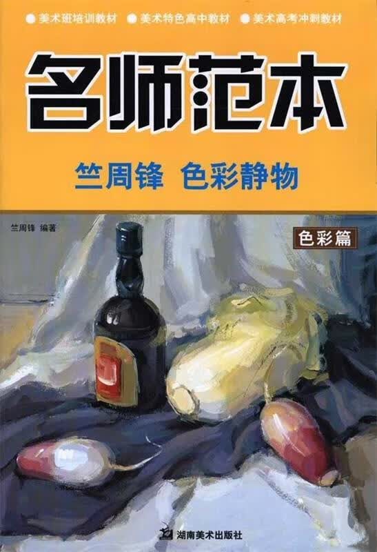 名师范本 色彩篇 竺周色彩静物 竺周锋 著