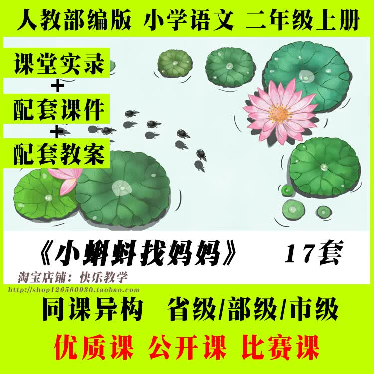 小蝌蚪找妈妈-部编小学语文优质公开课二年级上册视频PPT课件教案