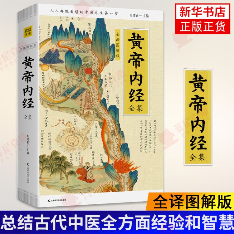 黄帝内经全集 全译图解版 白话解读 手绘插画馆藏古图图表直观展示穴位经络中医养生理论素问灵枢 中医医