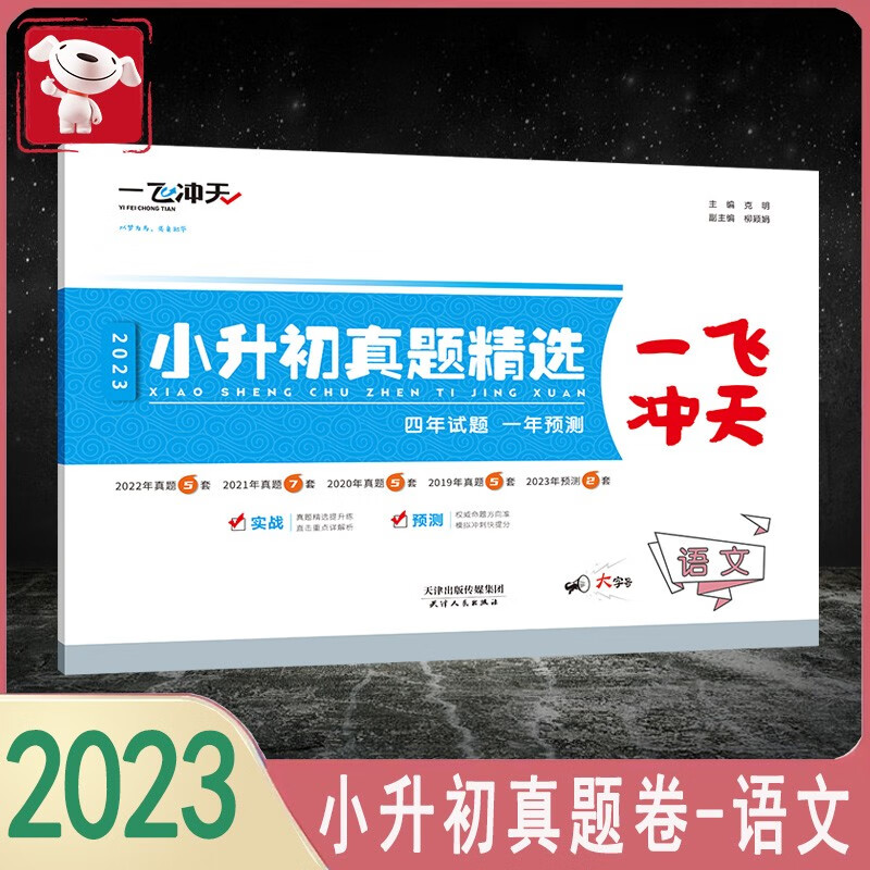 天津版2023一飞冲天 小升初真题精选 语文 一飞冲天小升初语文真题 小学升初中六升七
