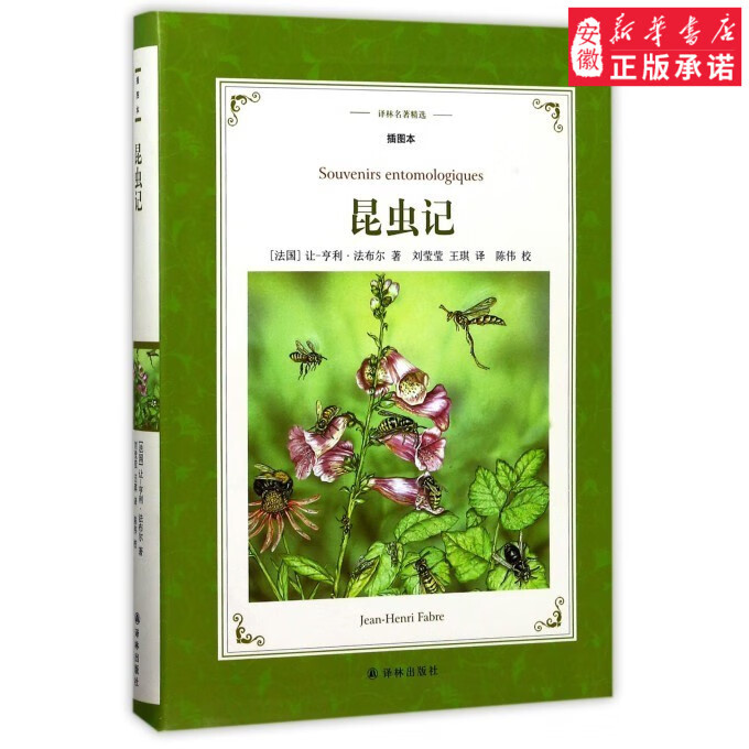 昆虫记(插图本) 法布尔作品 部编教材初中语 七八九年级初高中学生课外阅读 经典国内外文学畅销小说 译林出版