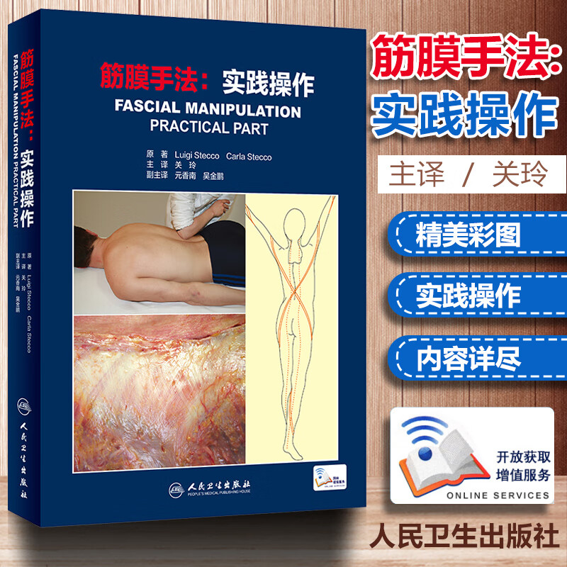筋膜手法 实践操作 筋膜手法实用指南 筋膜手法治疗肌肉骨骼疼痛运动筋膜学筋膜的解剖治疗关玲解剖列车