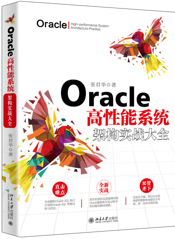 Oracle高性能系统架构实战大全