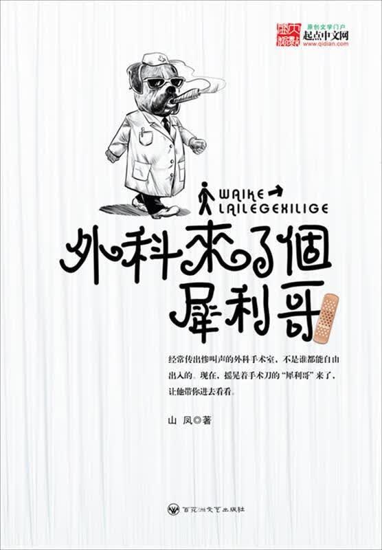 外科来了位犀利哥 山凤著