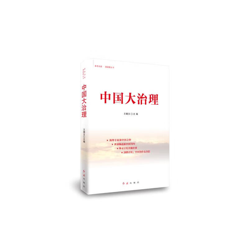 中国大治理 王朝文 书籍