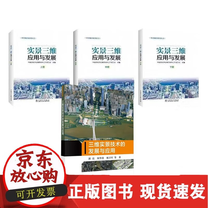 C 【全2册】三维实景技术的发展与应用智慧城市系列丛书 实景三维应用与发展（上中下册）郭亮何华贵杨卫军市