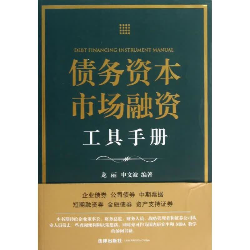 债务资本市场融资工具手册 龙丽 等 书籍