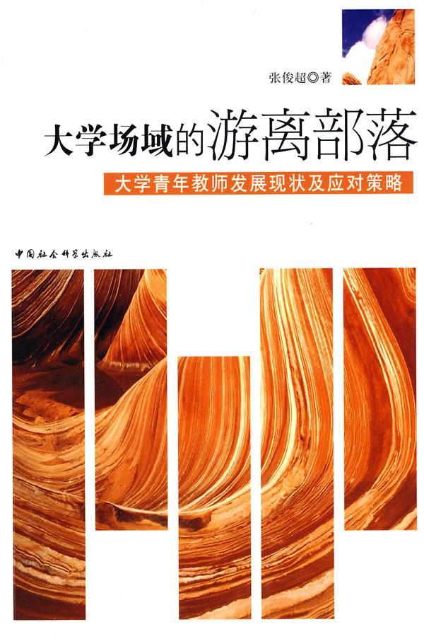 大学场域的游离部落:大学青年教师发展现状及应对策略 张俊超 中国社会科学出版社 9787500482
