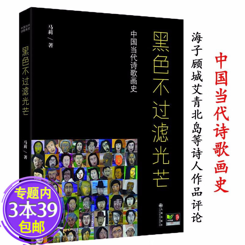【包邮】黑色不过滤光芒讲述你所不知道的取瑟而歌如何理解新诗中国当代诗歌画史新诗十讲书