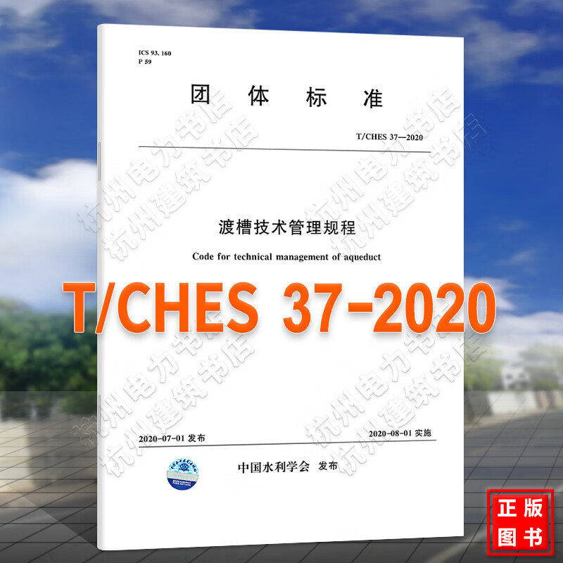 T/CHES37-2020渡槽技术管理规程