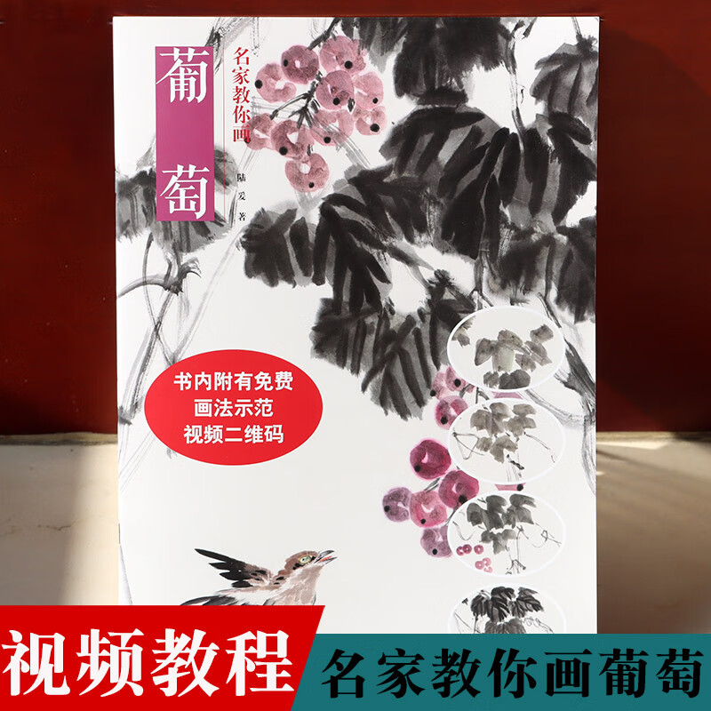 名家教你画葡萄 陆爰绘 国画葡萄入门教程随书附赠视频教学葡萄技法临摹教材书绘画入门临摹观赏作品集 画集范本学习书籍