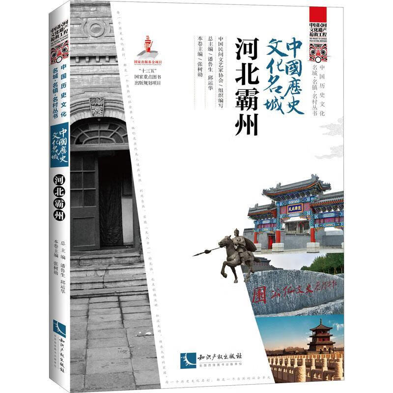 中国历史文化名城-河北霸州历史 图书