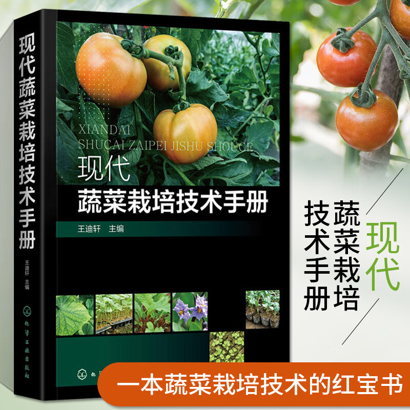现代蔬菜栽培技术手册 蔬菜种植书籍大全农业温室大棚技术蔬菜病虫害图谱与防治书栽培知识指南现代无公害蔬菜种植管理关键技术