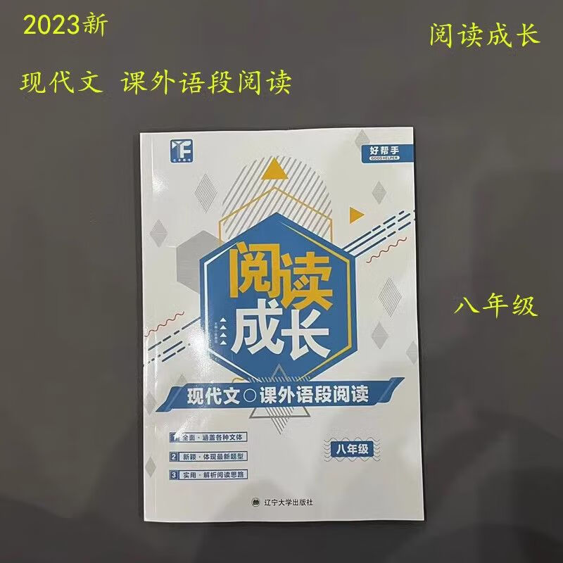 2023新版亿丰成长现代文课段