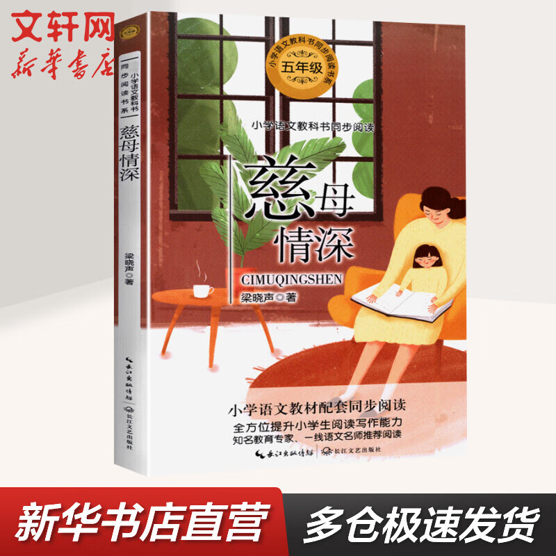 慈母情深 五年级上册同步阅读 课文作家作品系列小学生课外阅读书籍书目 图书