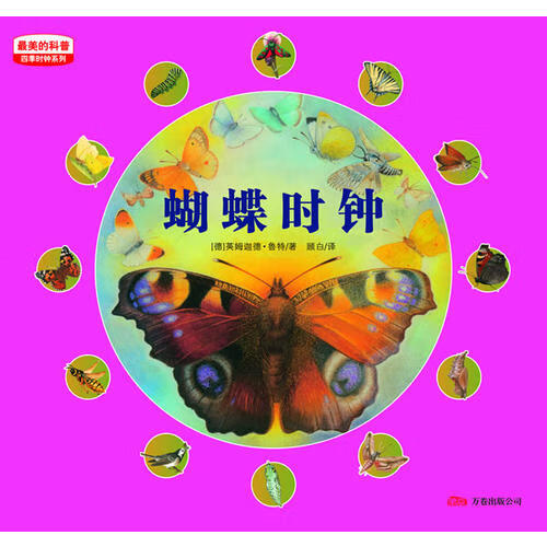 蝴蝶时钟 美的科普【现货】