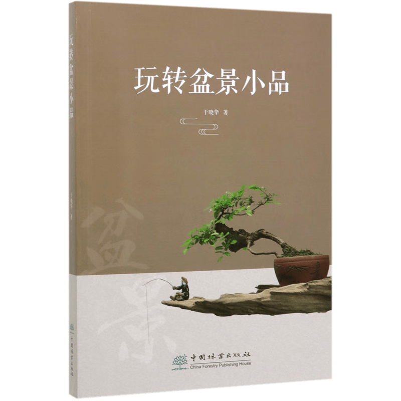 玩转盆景小品