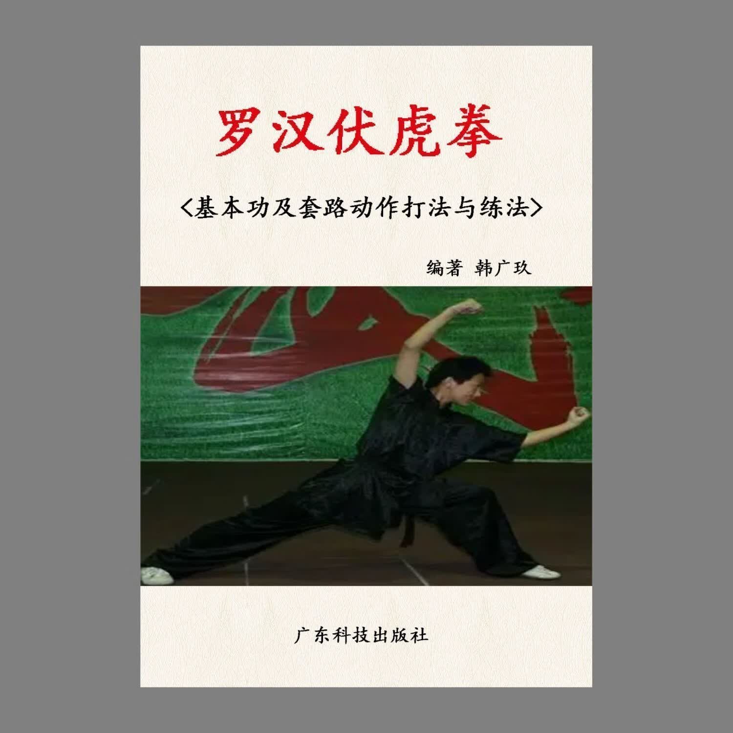 岭南名拳 罗汉伏虎拳 南拳基本知识入门 韩广玖编著