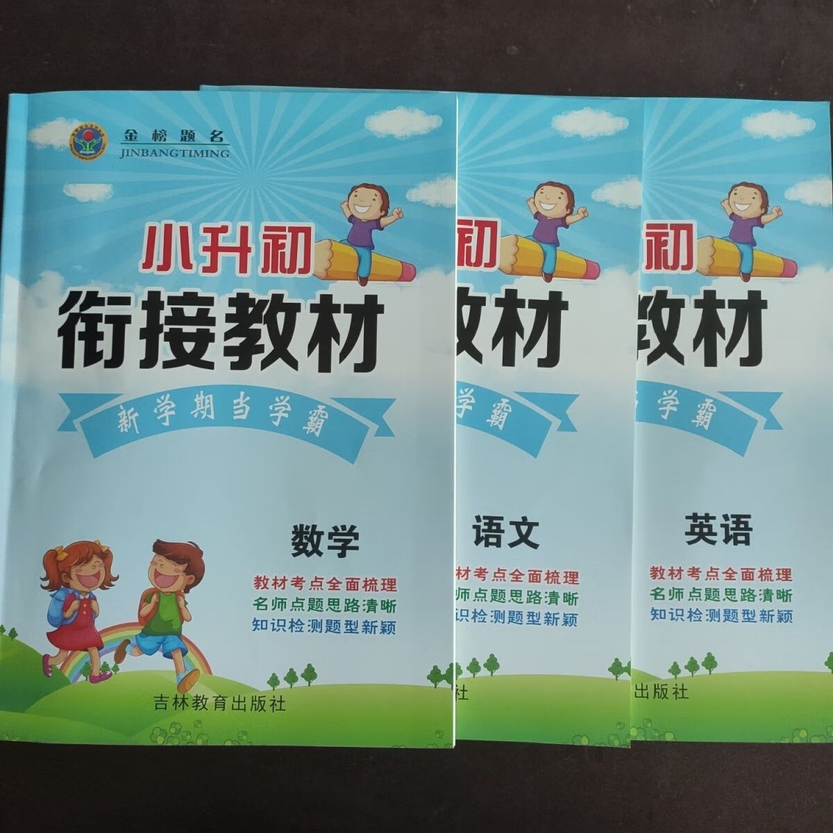 2024金榜题名 小升初衔接教材 各科自选 语文
