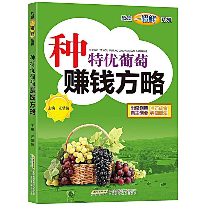 种特优葡萄赚钱方略
